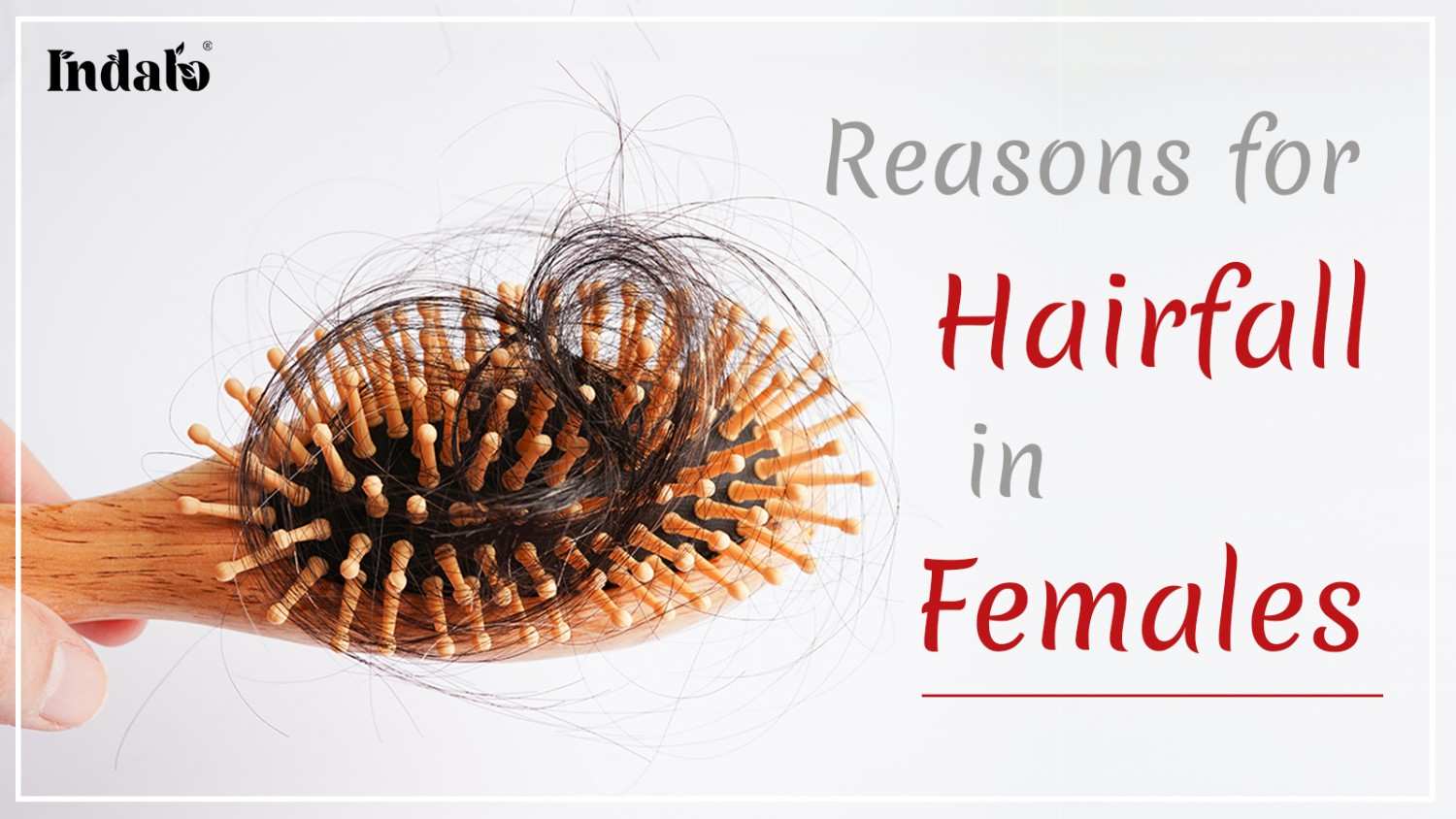 Hair Fall Reason In Female: Prevent Hair Fall, Effective Solutions – Indalo