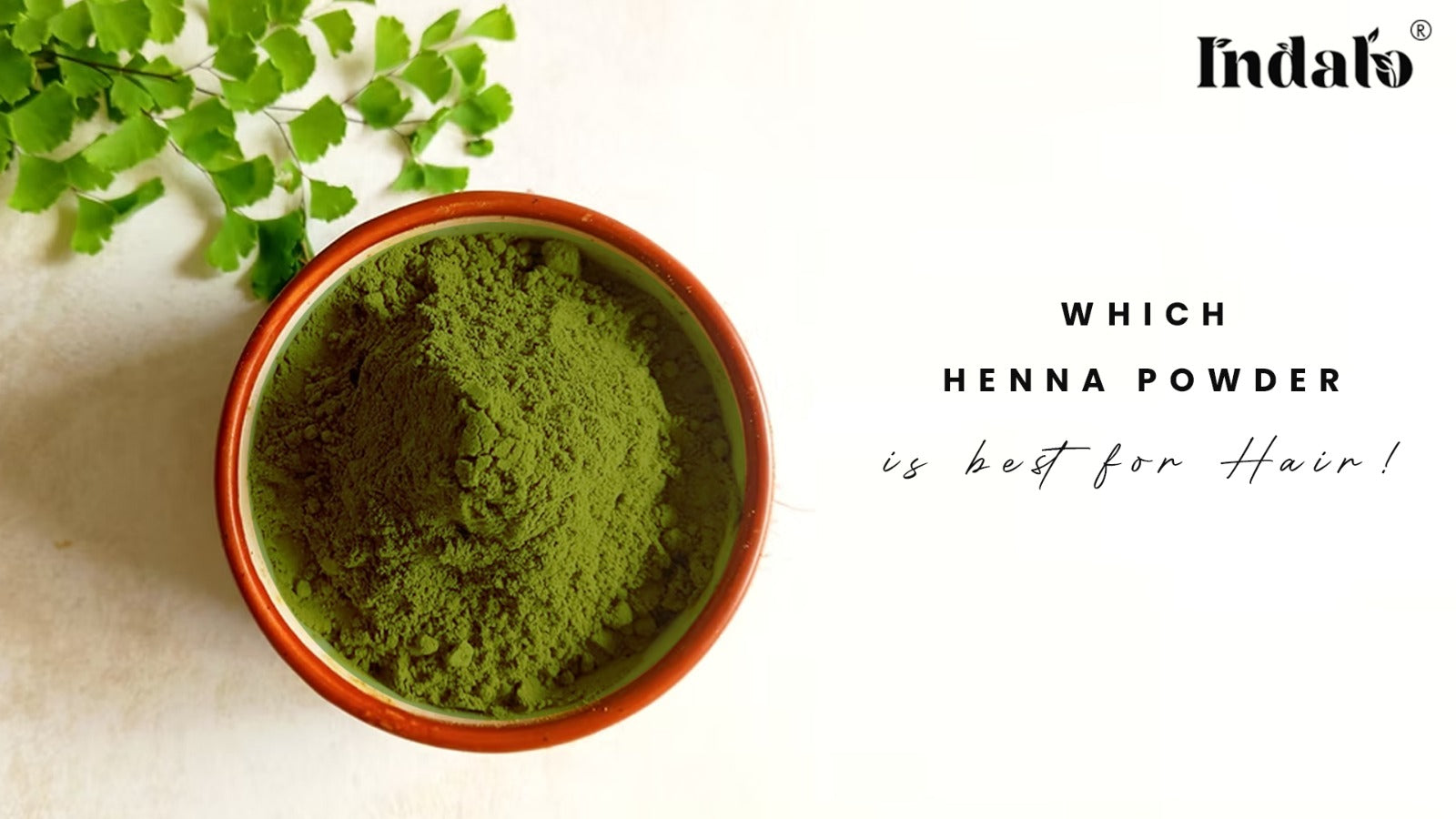Best Henna Powder for Hair | Natural Dye & Care – Indalo